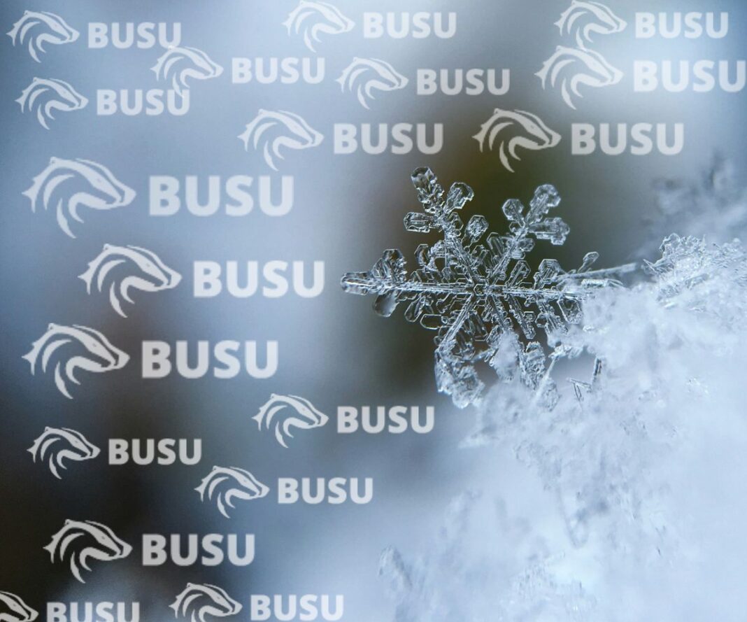 BUSU BoD discusses The Brock Press, menstrual equity and club funding ...