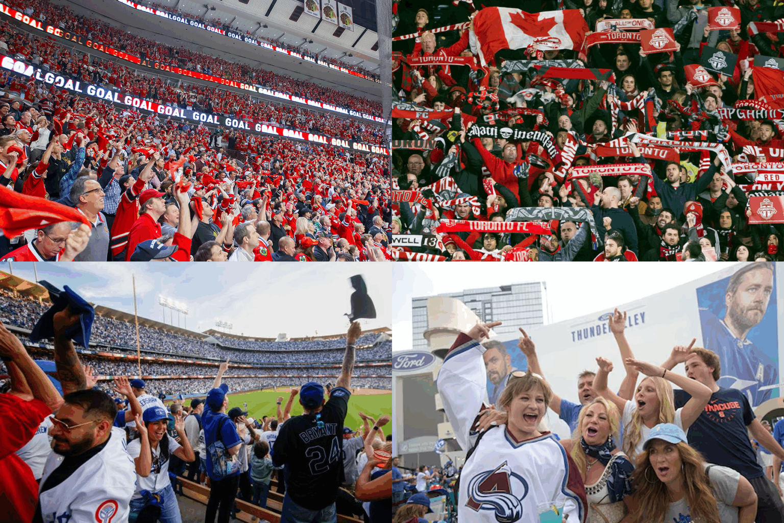 The dark side of sports fandom - The Brock Press